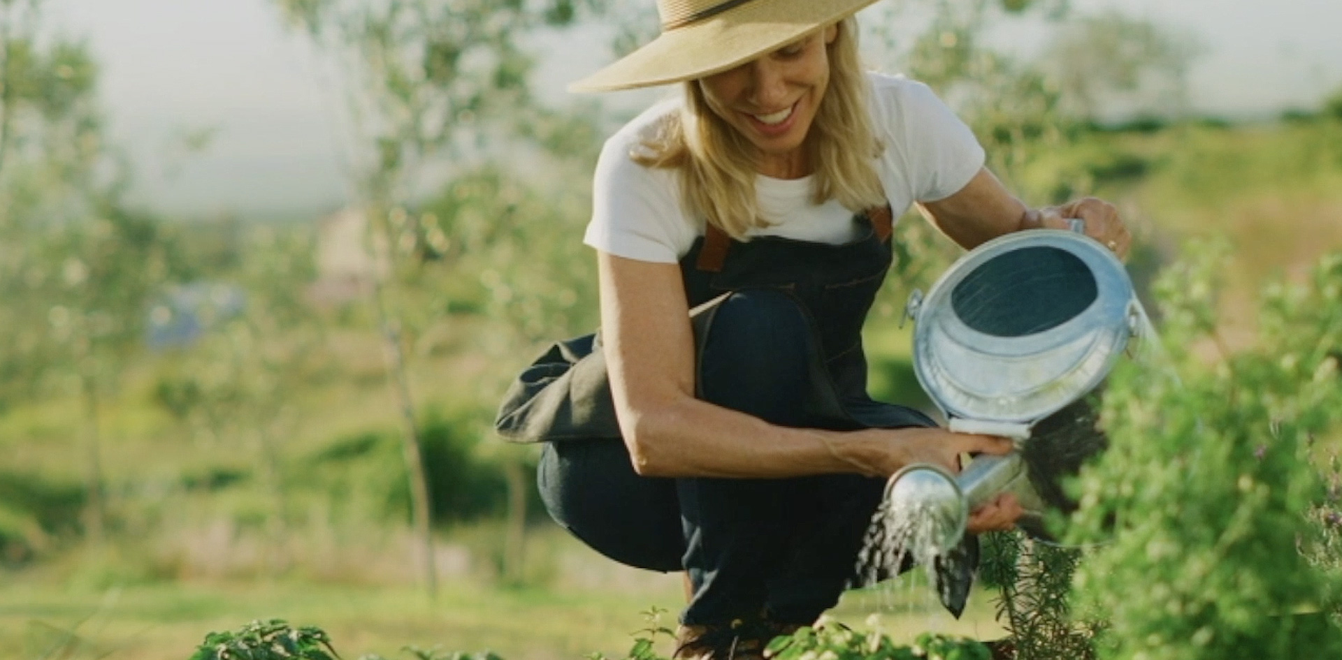 Le fonctionnement - APEF